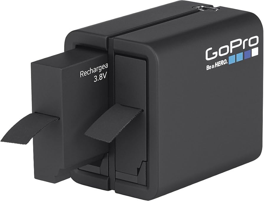 GoPro Dual Battery Charger + Battery – Fire on the Mountain